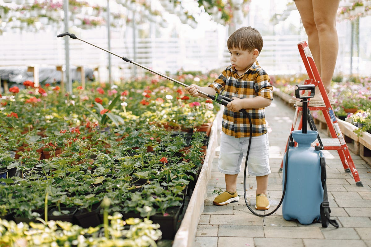 Building a Greenhouse. Building a greenhouse can be a fun and… | by Nifty Benny | Medium