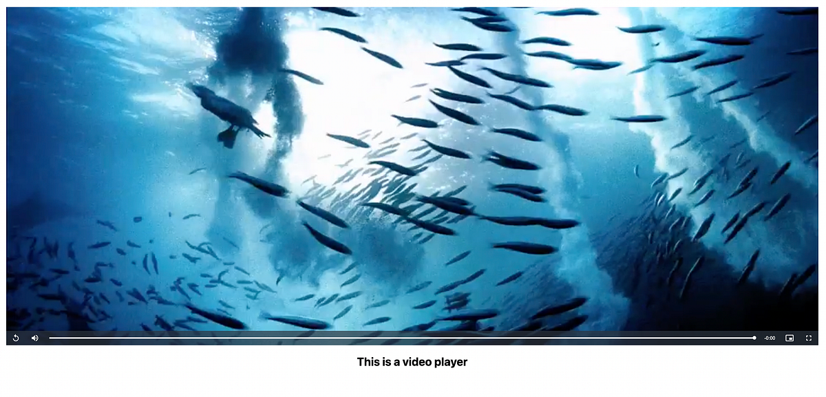How to Develop a Powerful Video Player in React Using Video.js: A ...