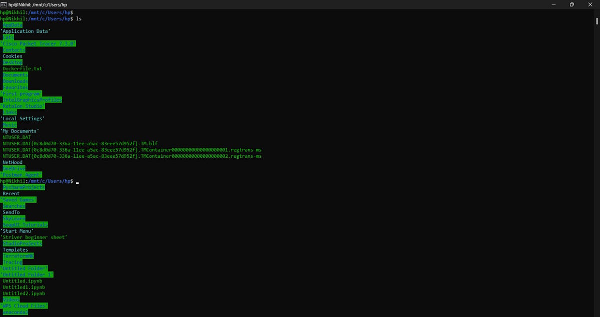 Day 2: Demystifying the Linux Folder Structure | by Nikhil Adinath ...