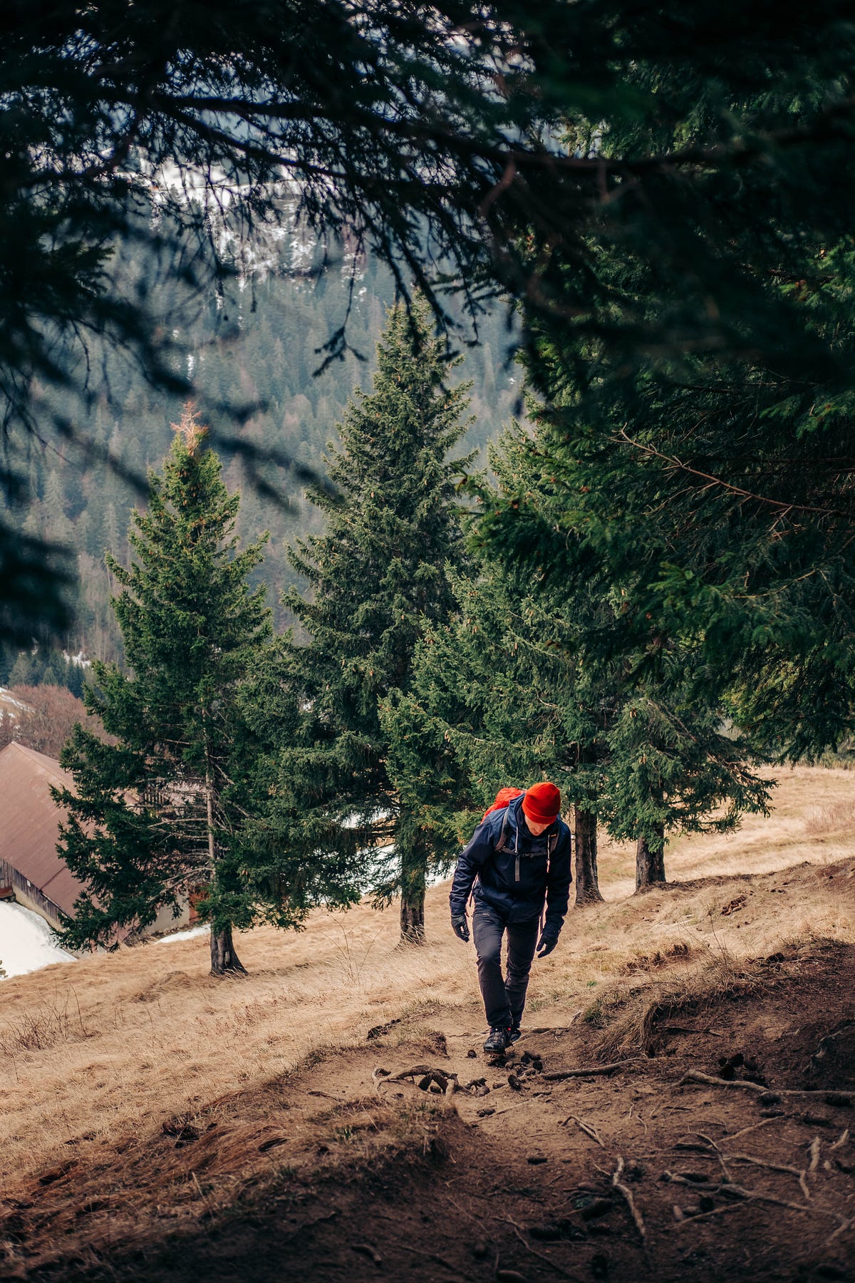 Walking for Rejuvenating the Mind: A Pathway to Inner Healing and ...