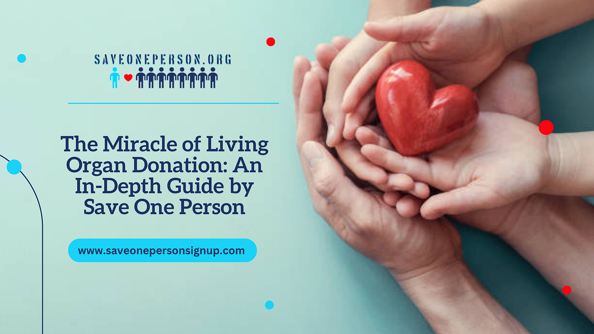 The Miracle of Living Organ Donation: An In-Depth Guide by Save One Person | by Save One Person ...