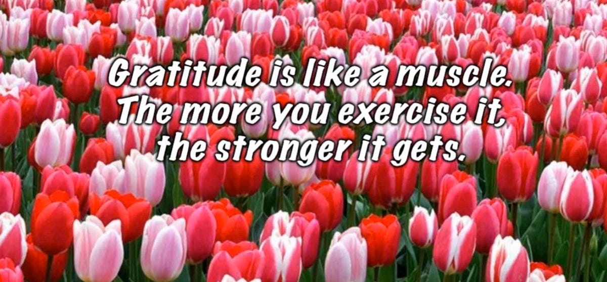 Gratitude is like a muscle. The more you exercise it, the stronger it ...