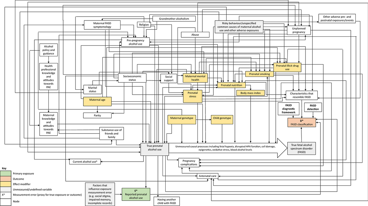 Predicting Vs Explaining And Why Data Science Needs More By Phoebe 9503