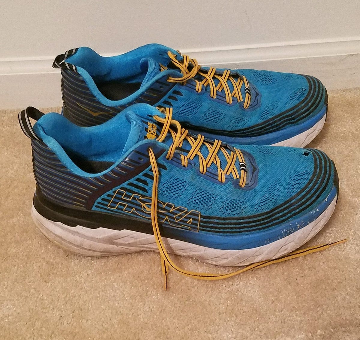 Dumpster was Calling Me at the Super Bowl 5k Race | by David T. Ross ...