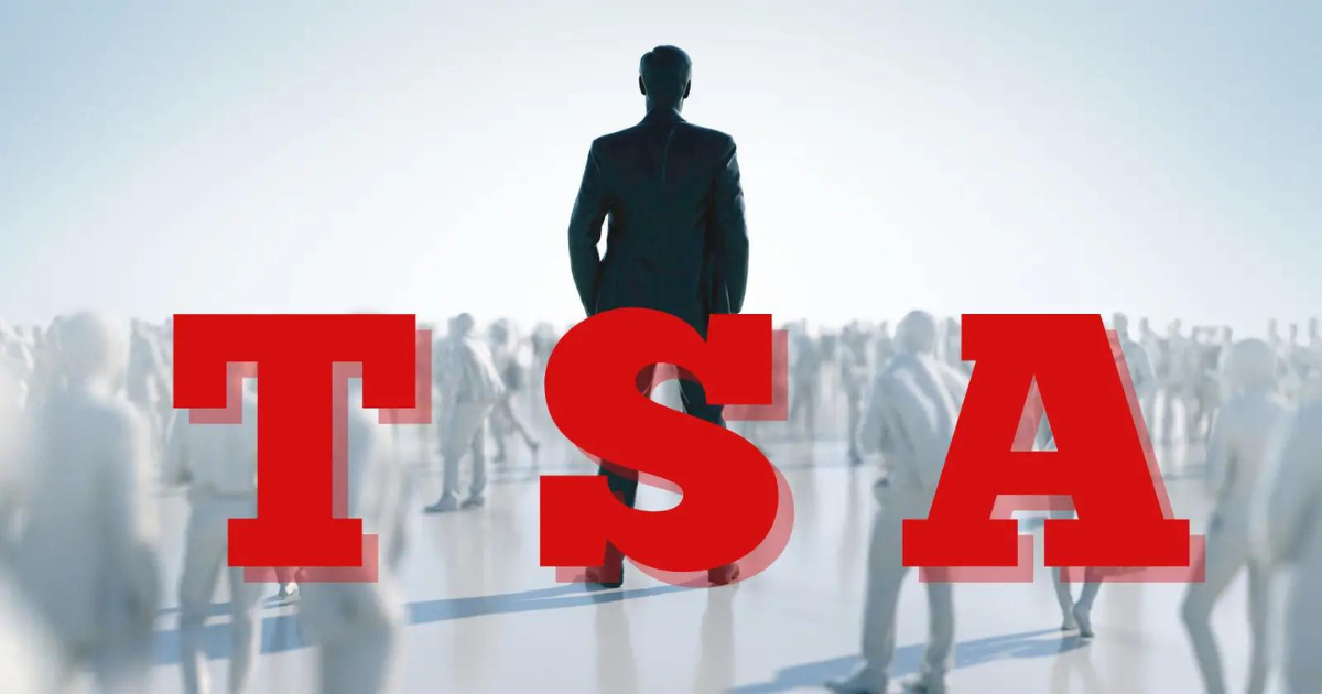 Understanding the Role of Transportation Security in Ensuring Safe ...