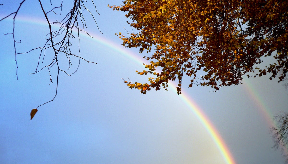 Art as Magic. How is the creation of art a form of… | by Nadia Davidson ...