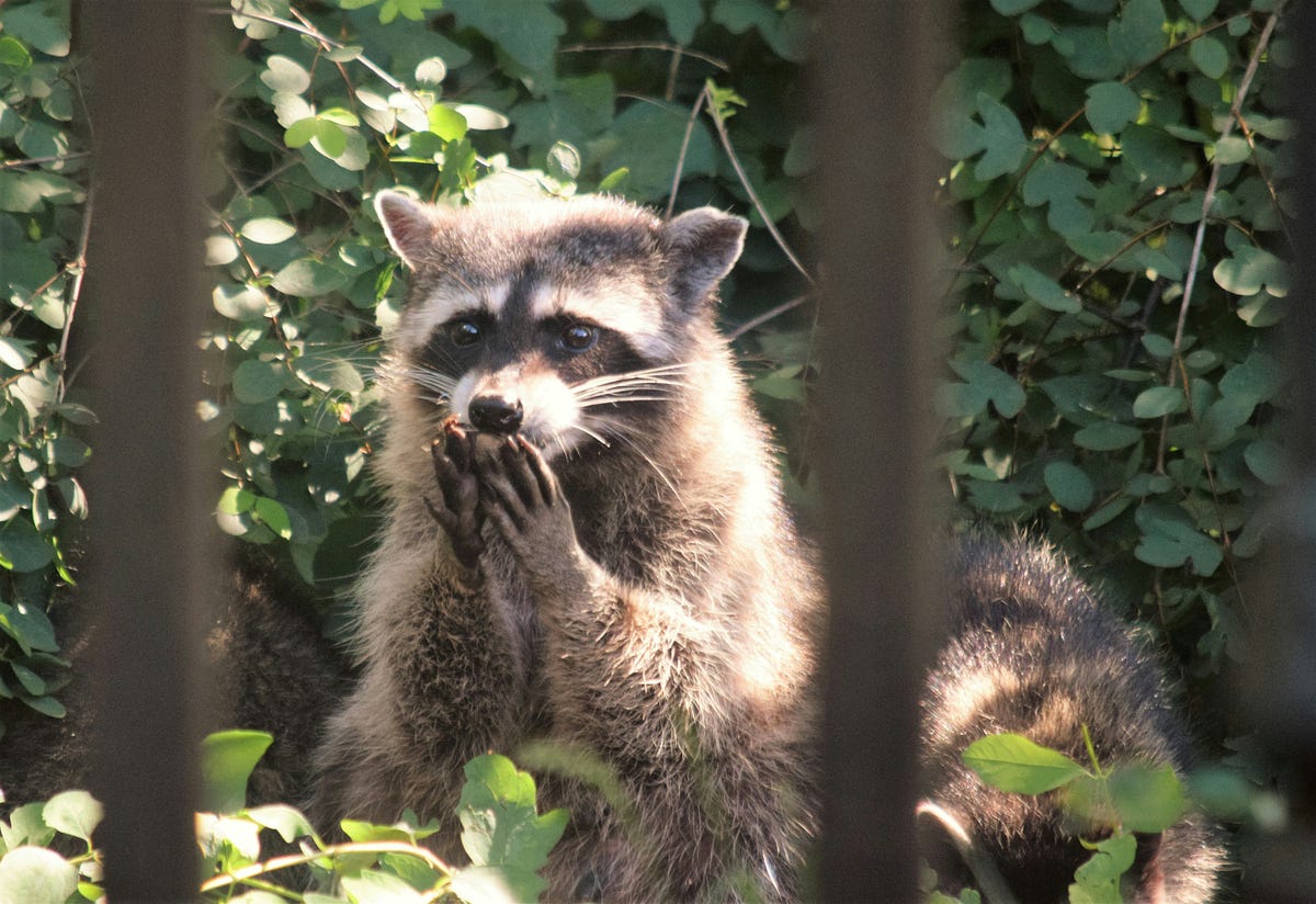 Uh-Oh. It Finally Happened.. Well this was unexpected… | by Brenna ...