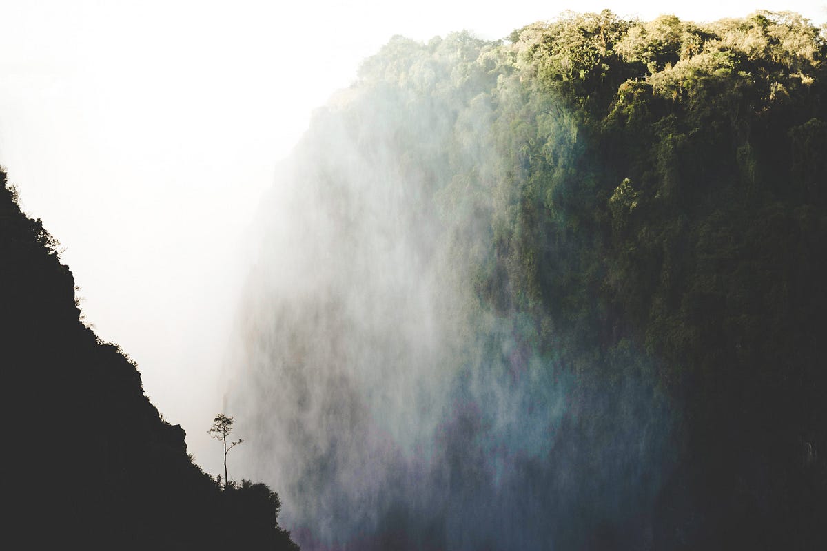 This is What Happens When You Jump off Victoria Falls Bridge | by Nick ...