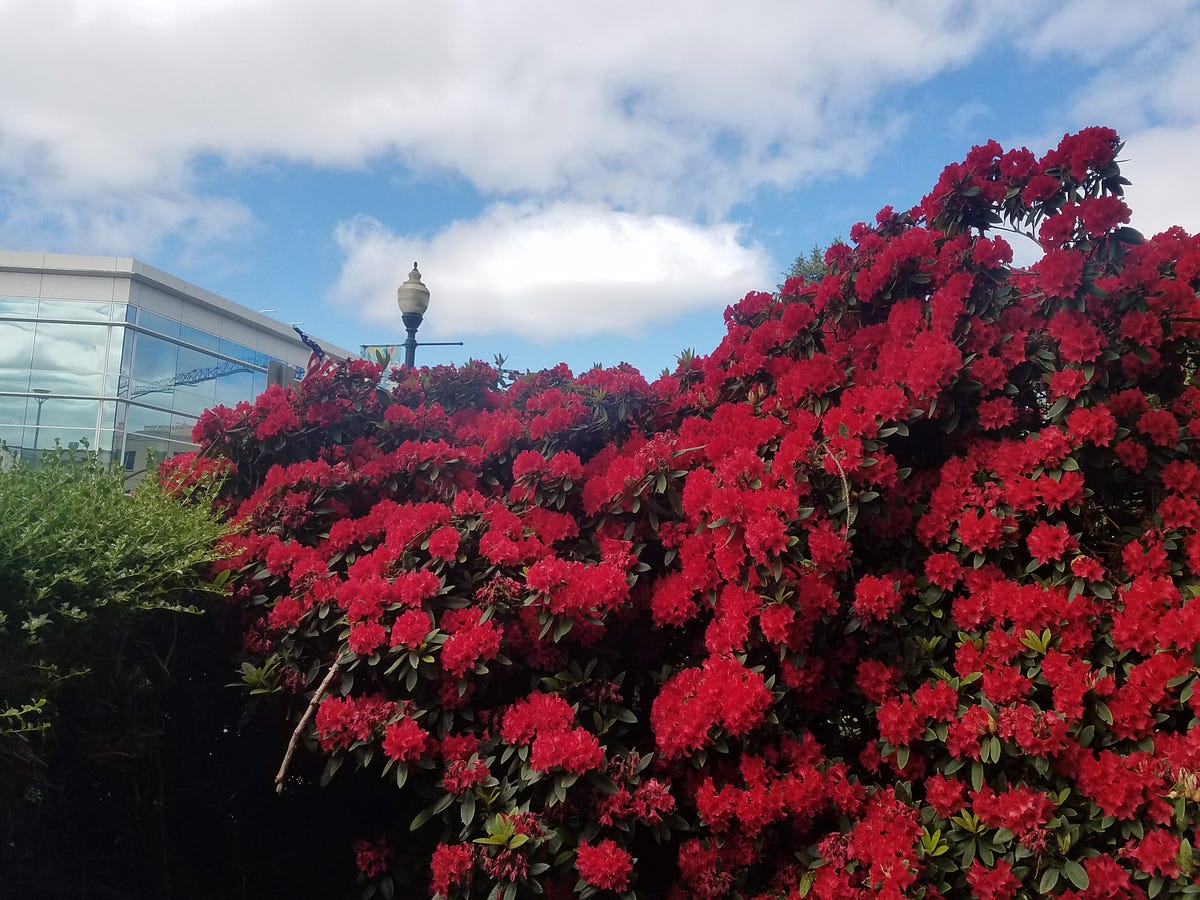 Scraps & Gasps.. Some thoughts on beginnings, endings… | by Callie Joy | Medium