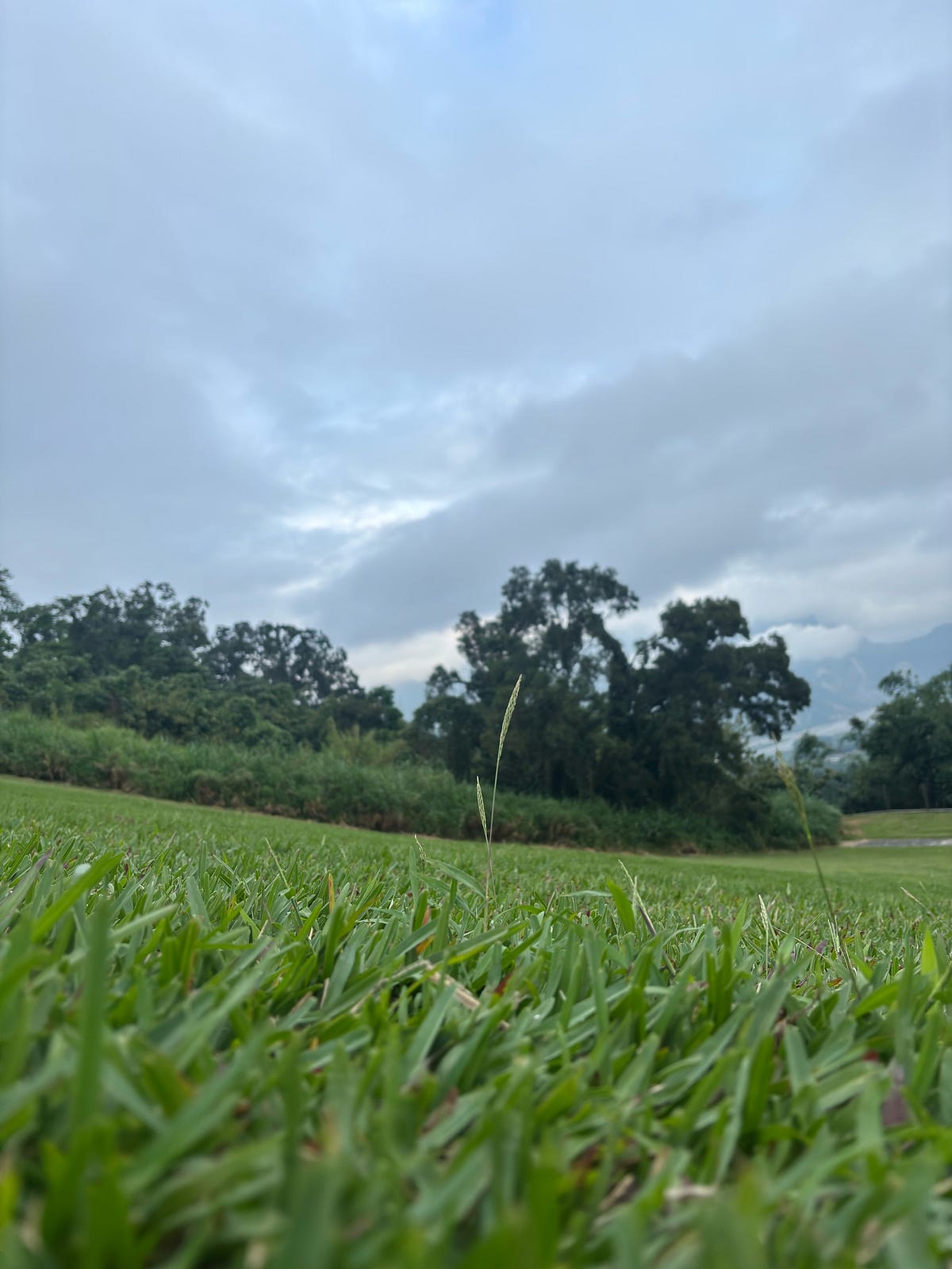 Gap Year Day1 - Clement Chiu - Medium