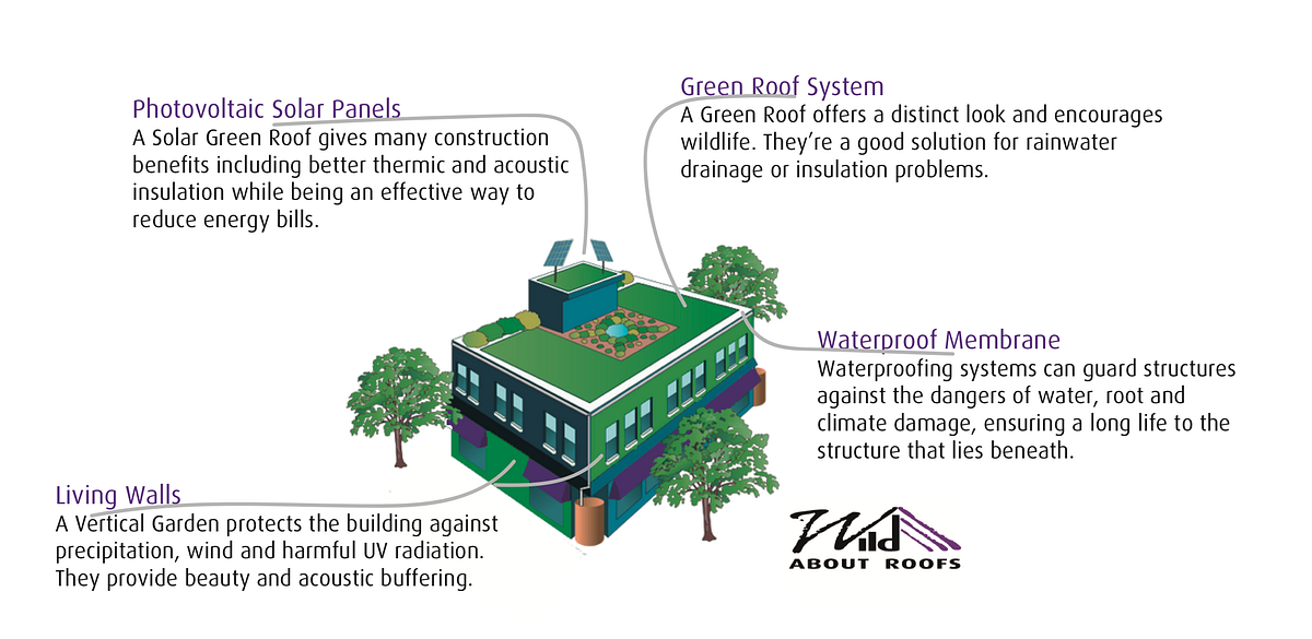 Eco-Friendly Buildings. Environmentally friendly construction… | by ...
