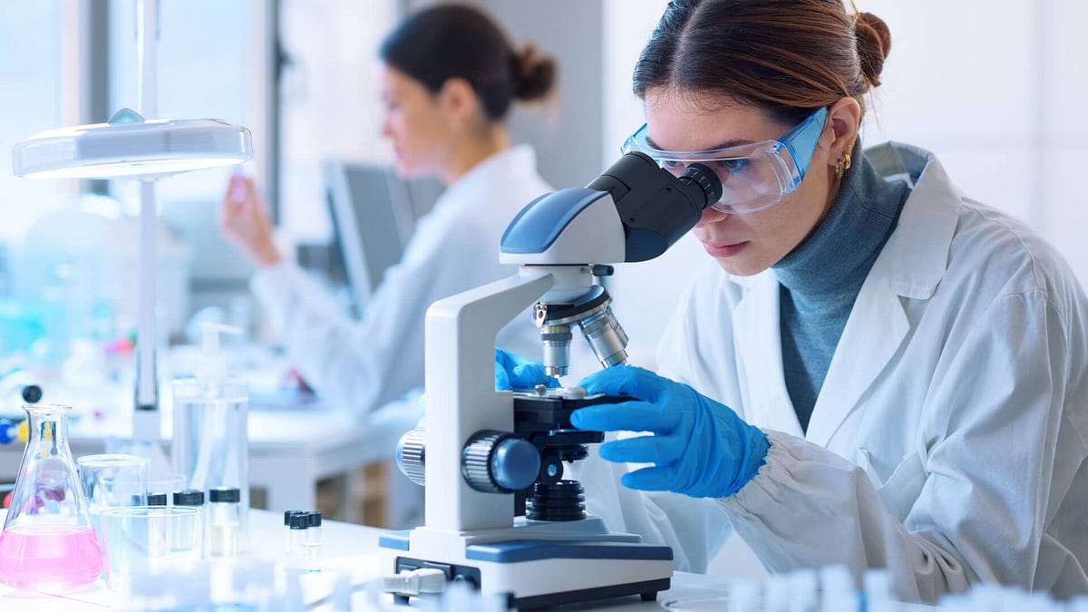 The Medical Thesis Writing Introducing Clinfinite Solutions | by ...