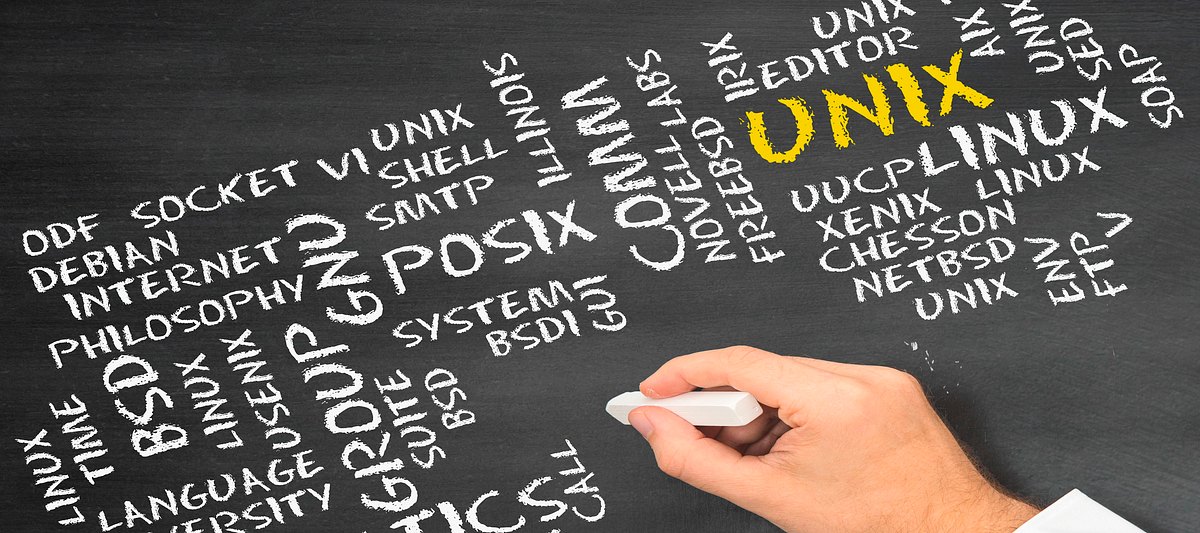 What happens when we type a command in the Shell? | by Maria Fernanda ...