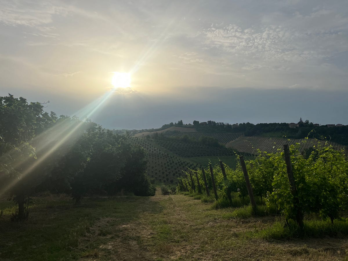 From Grapes to Grace: Unveiling the Heart of Italian Wineries and the ...