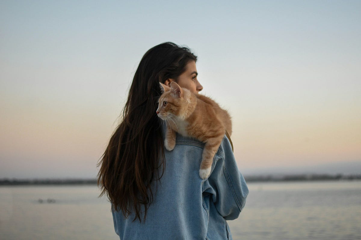 I Lost Friends For Saying This But Cats Are Overrated As Pets | by ...