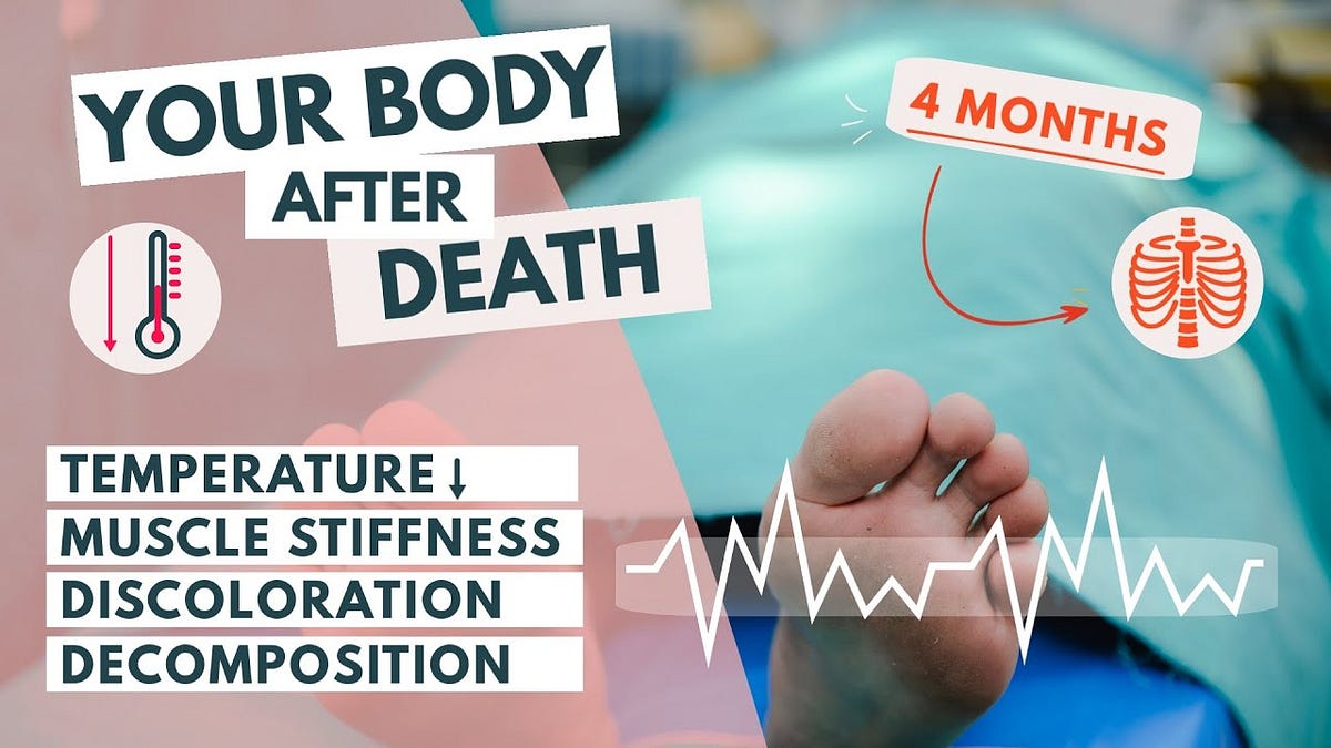 The Journey After Death: A Guide Through Post-Mortem Changes | by Dr ...