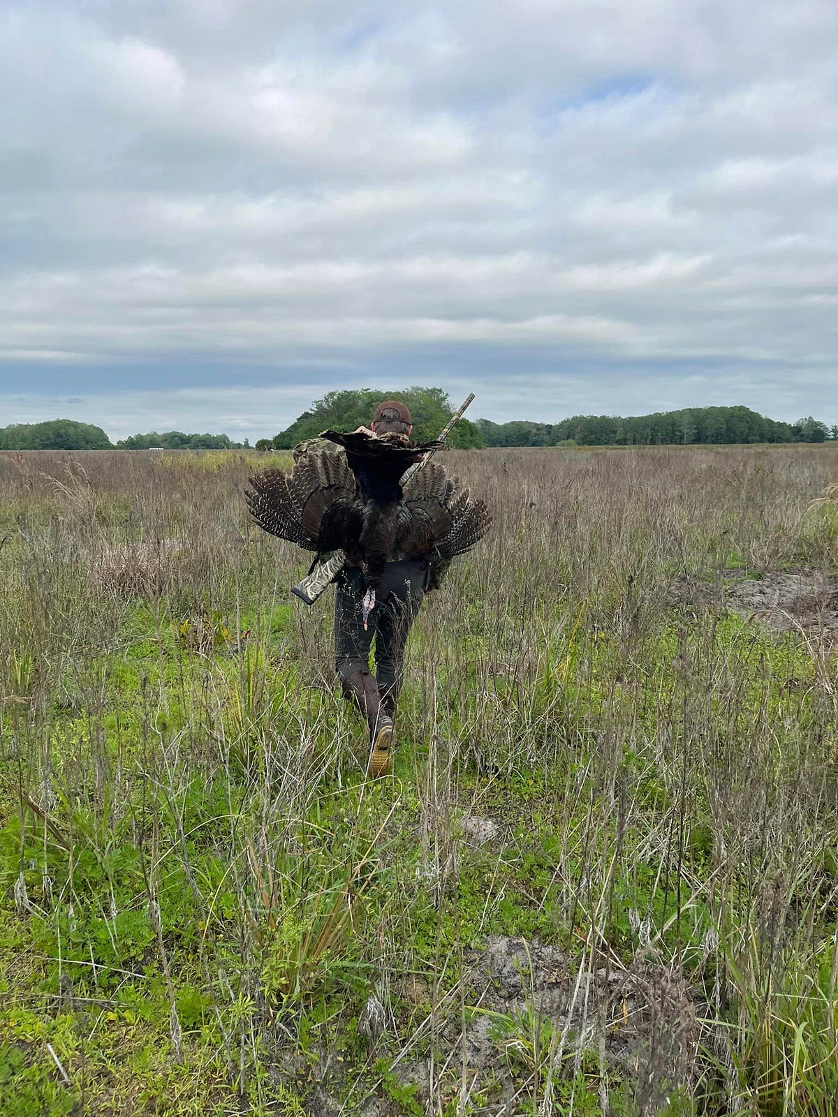 A Reel Florida Turkey Hunt. A Real Florida Turkey Hunt | by Cameron ...