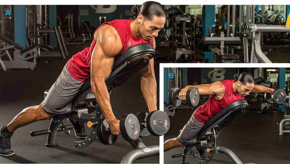 Posterior Deltoid Exercises