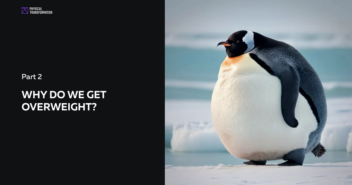 WHY DO WE GET OVERWEIGHT? PART 2. So, in part 1, we learned that ...