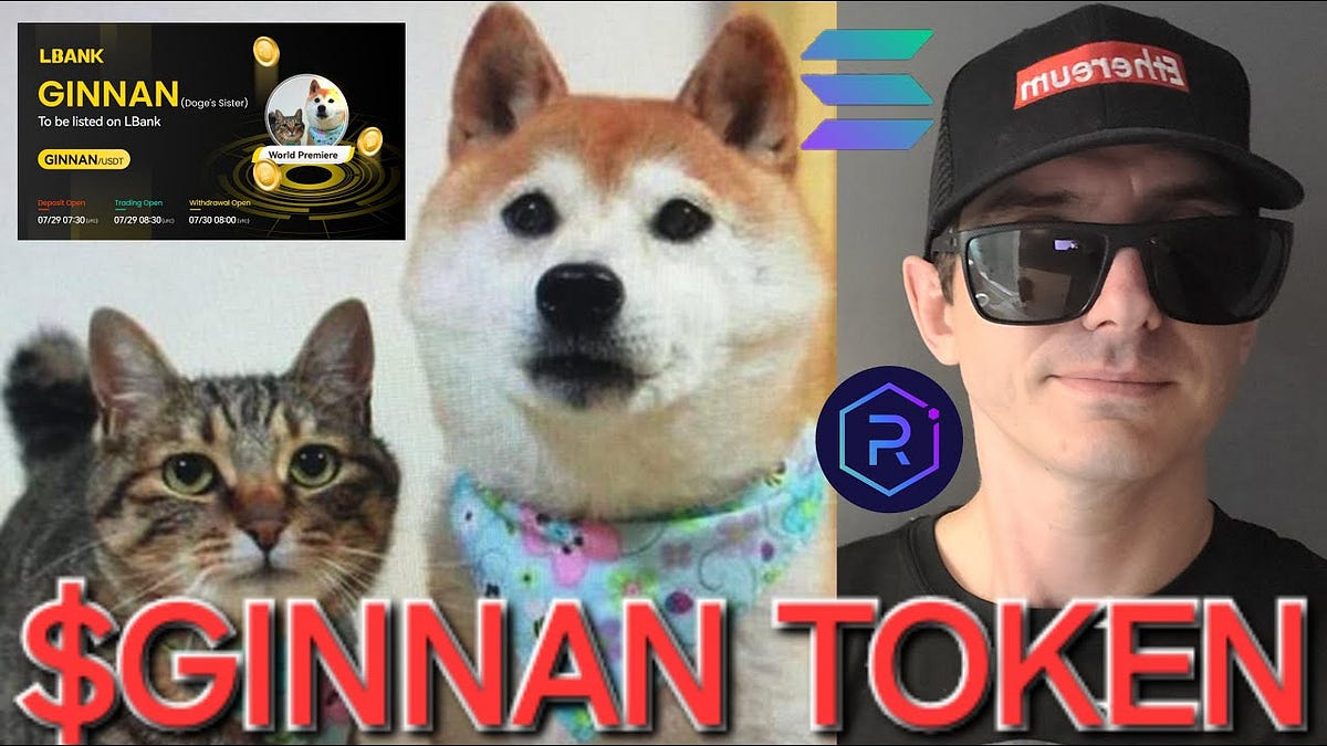 Airdrop Security Essentials: Protecting Your Claims with Ginnan The Cat ...