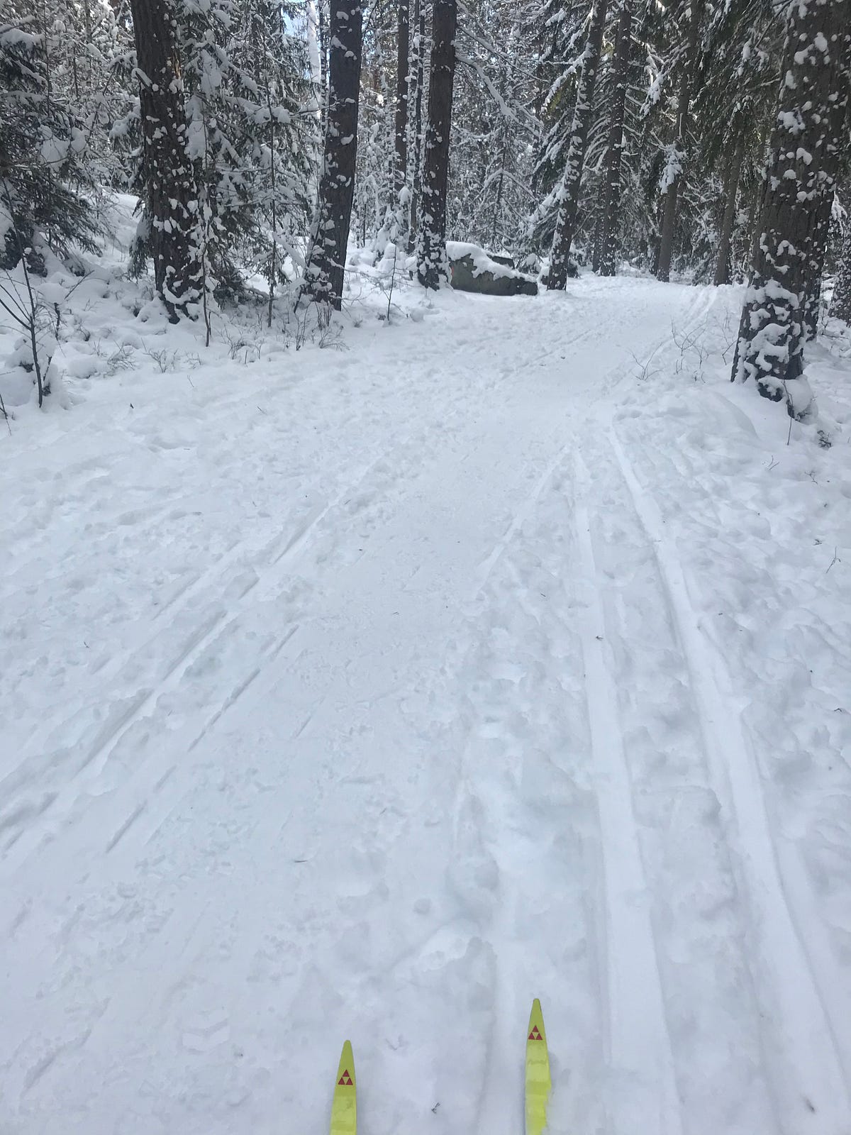 The positive effects of being out in nature. - Meta-Success - Medium