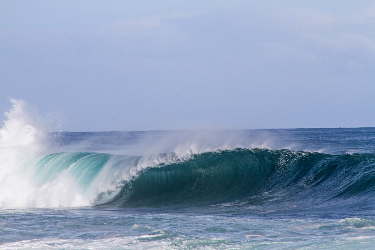 Biomimicry sea spray can save our Beaches | by Thomas Reis | Medium