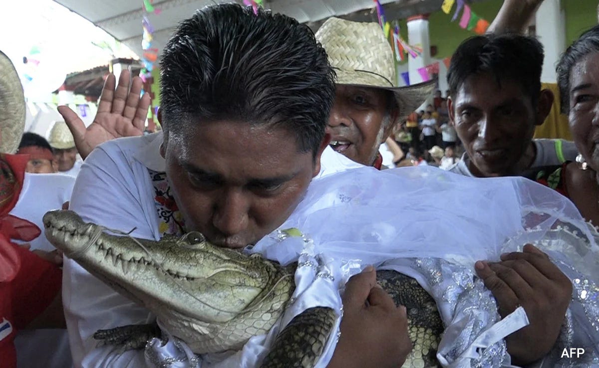He married a crocodile. The Unfolding of a Unique Tradition | by Waleed ...