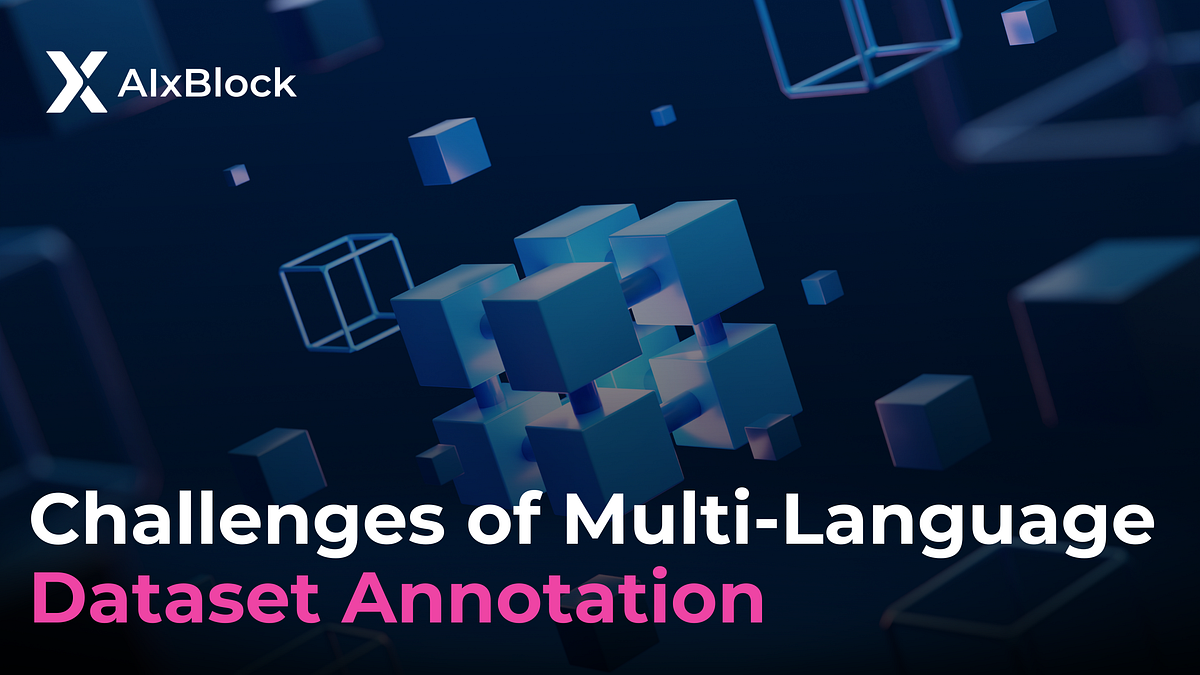 Understanding the Challenges of Multi-Language Dataset Annotation | by AiXBlock | Sep, 2024 | Medium