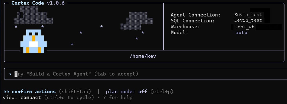 Cortex Code CLI Complete Tutorial & Use Cases Guide | by Kevin Wang ...
