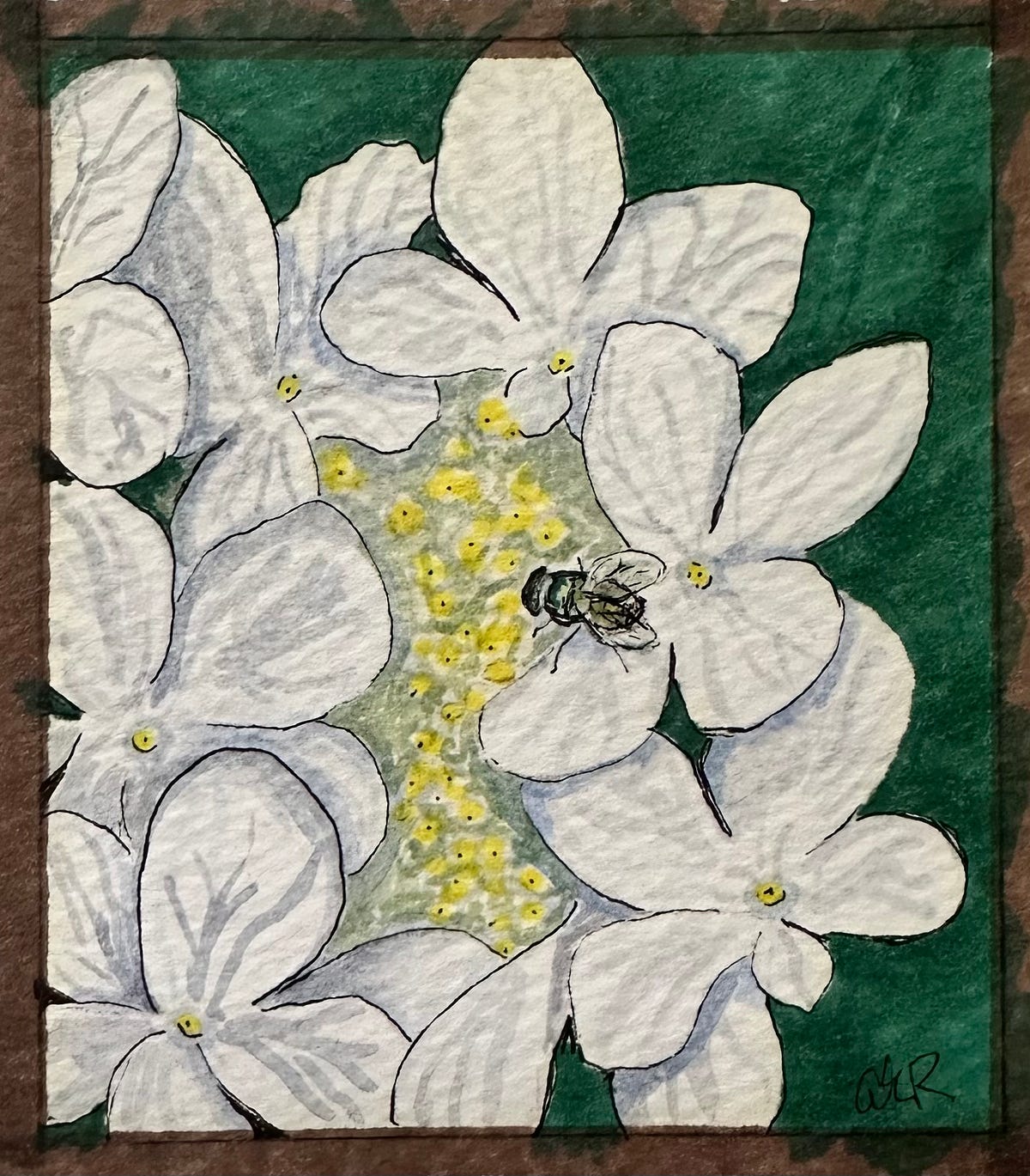 Flight Work. For the Bee and Bloom | by Adelia Ritchie, PhD ...