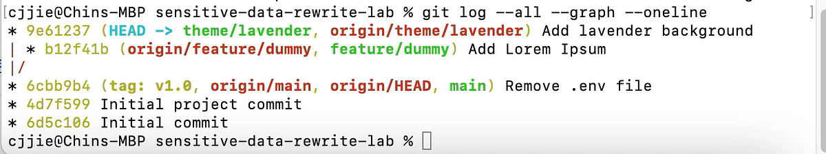 Cleaning Git History to Remove Leaked Secrets | by Jing Jie Chin | System Weakness