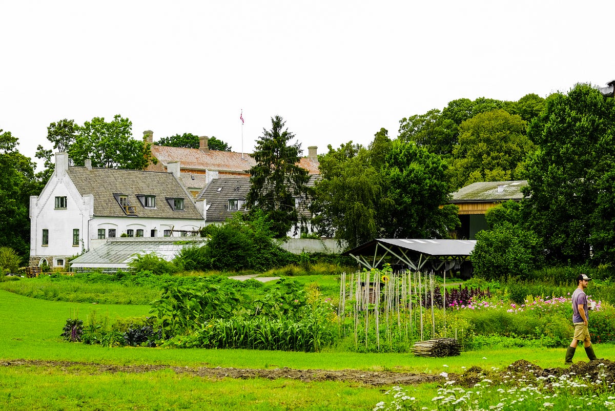 Growing Ideas. by Aaron Arizpe | by inHouse | Medium