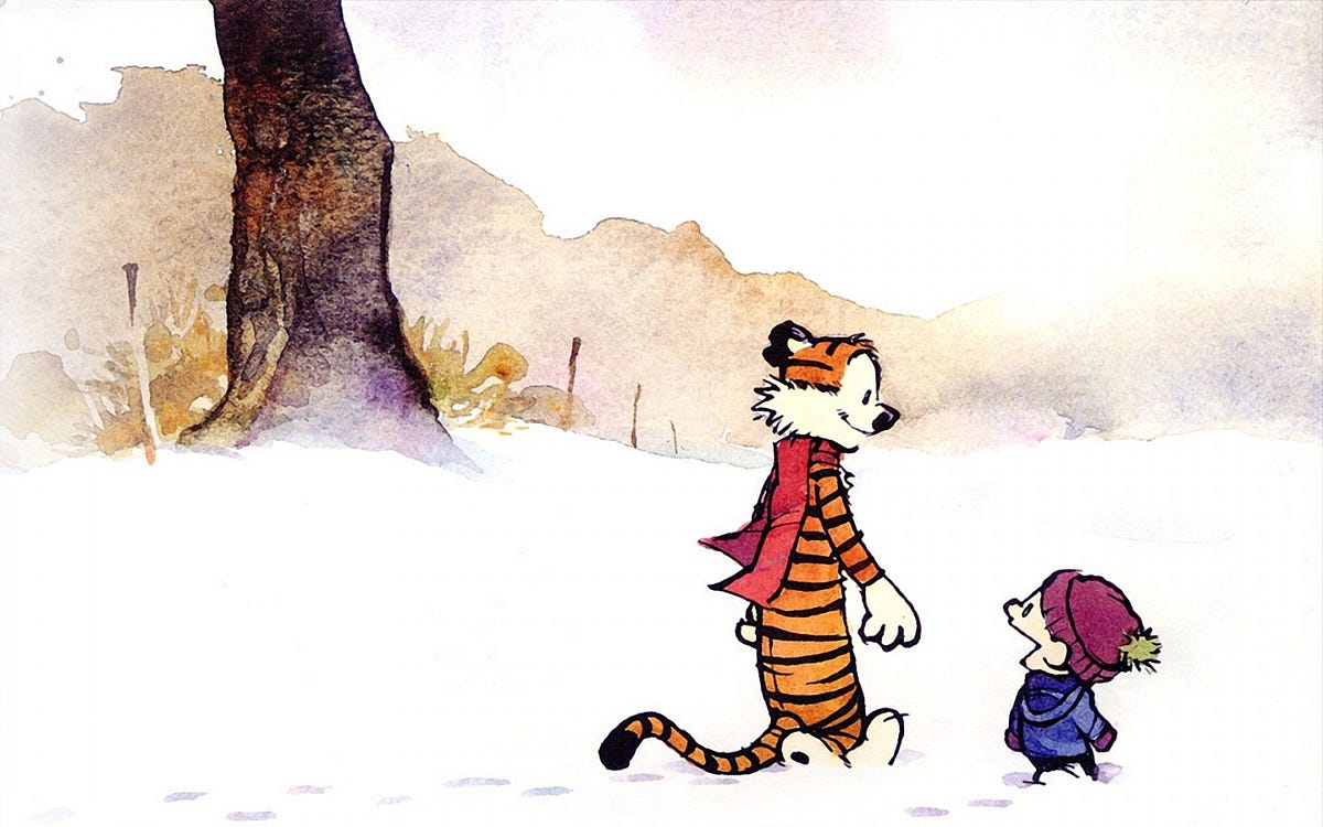 What Calvin and Hobbes Can Teach Us About Writing (And Life) | by ...