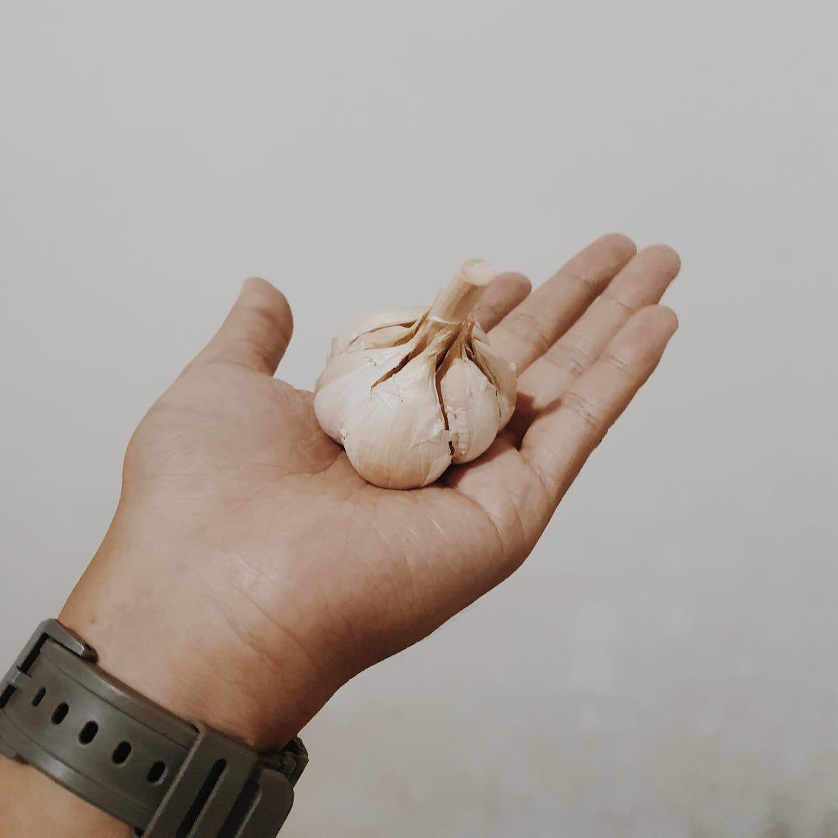 #SukaMikir: Philosophy of garlic | Medium