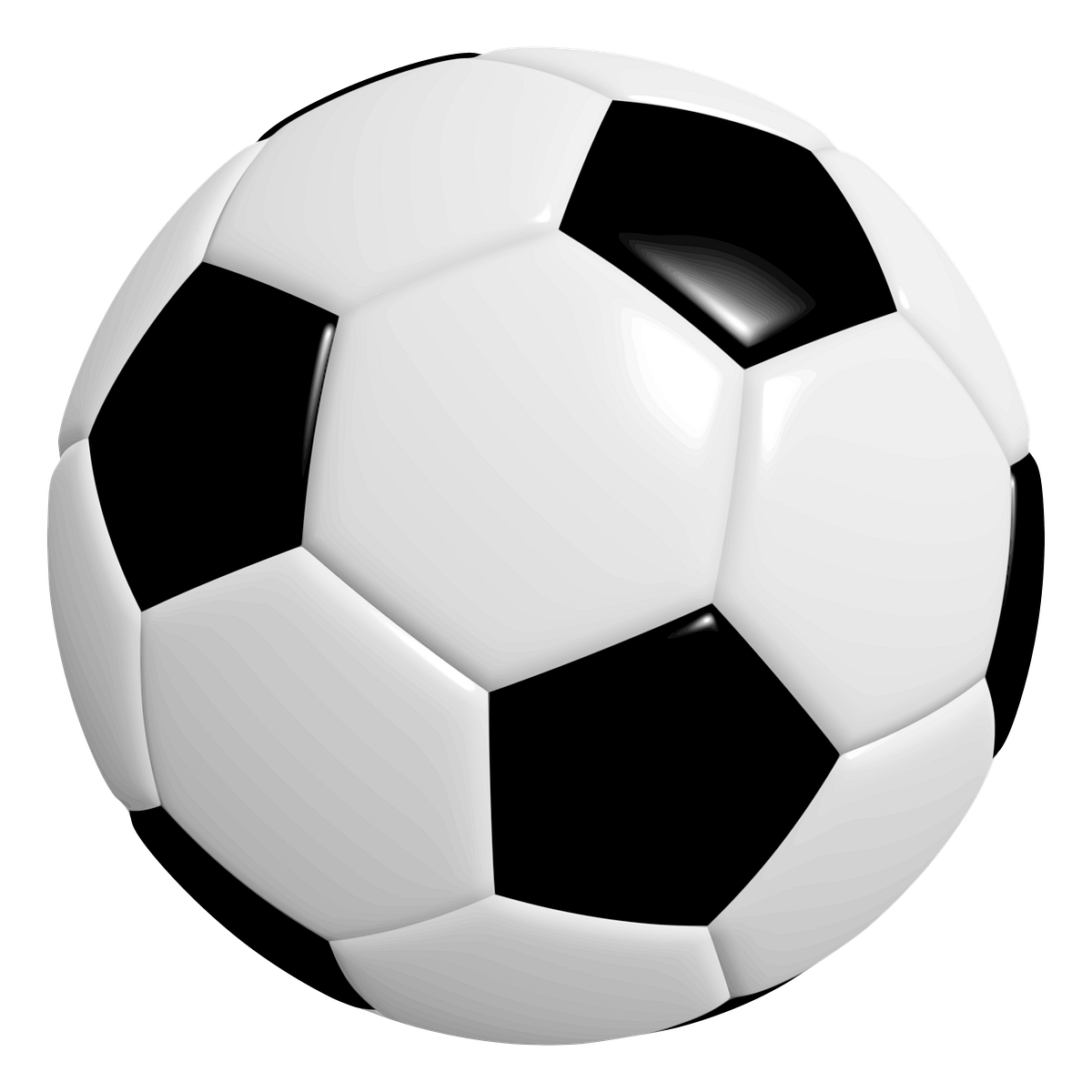 [Summary Documents] Medical Authority, Academic Authority, and Sports ...