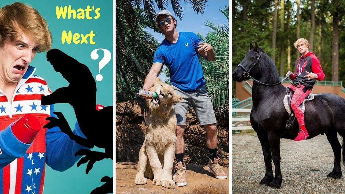 Unveiling the Fascinating World of Logan Paul’s Pets | by Known Pets ...