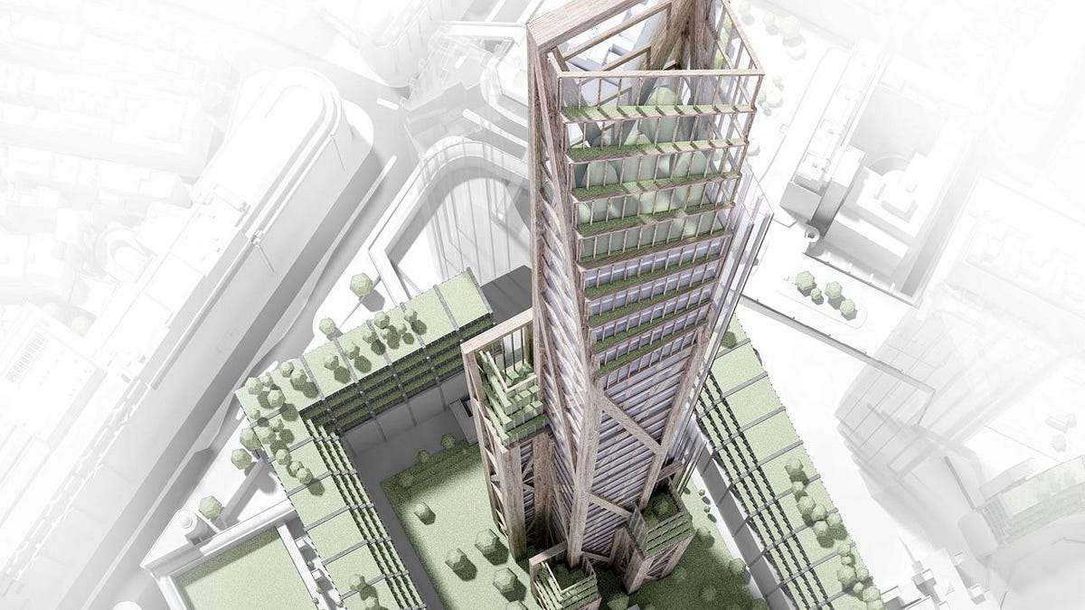 Bamboo Skyscrapers. Why Strong, Durable, Fire-Resistant… | by Troy ...