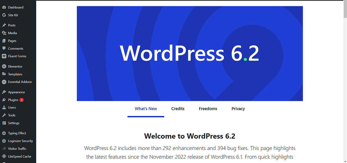 Update Your WordPress Website Without any issues or bugs | by Md Masud | Medium
