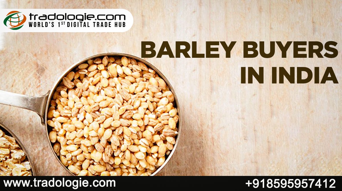 Barley Buyers in india. Barley is amongst the most spatially… | by ...