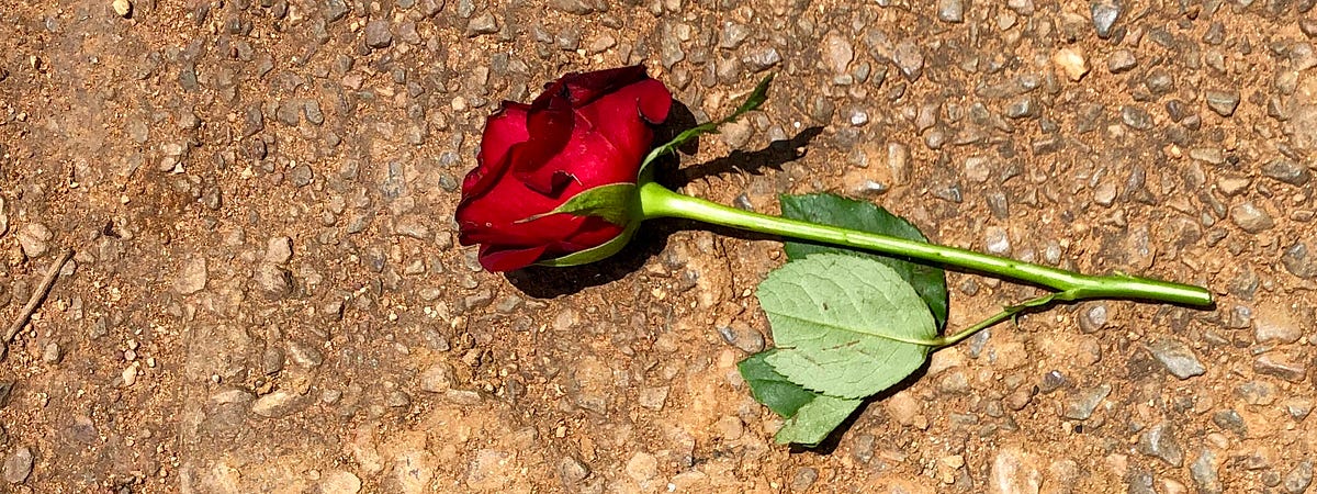 Rwandan family marks the 25th anniversary of the passing of their loved ...