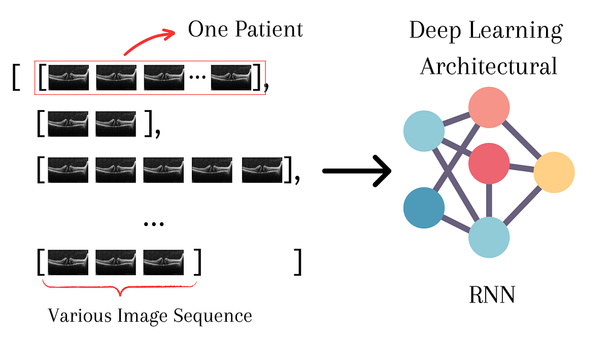 What are the Difference Between Variables Length and Restrict of Input into RNN Architecture ...