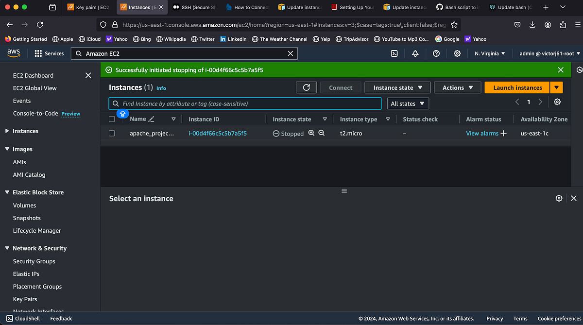 Installing an Apache HTTP Web Server on an AWS EC2 Amazon Linux 2 Server | by Victor Jackson ...