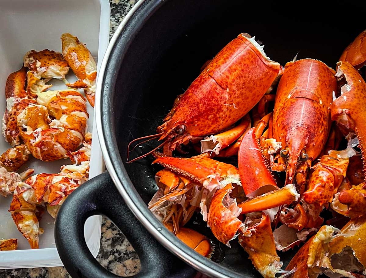 Savoring Catalan Cuisine in Girona | by Miriam Connolly | Sharing Food ...