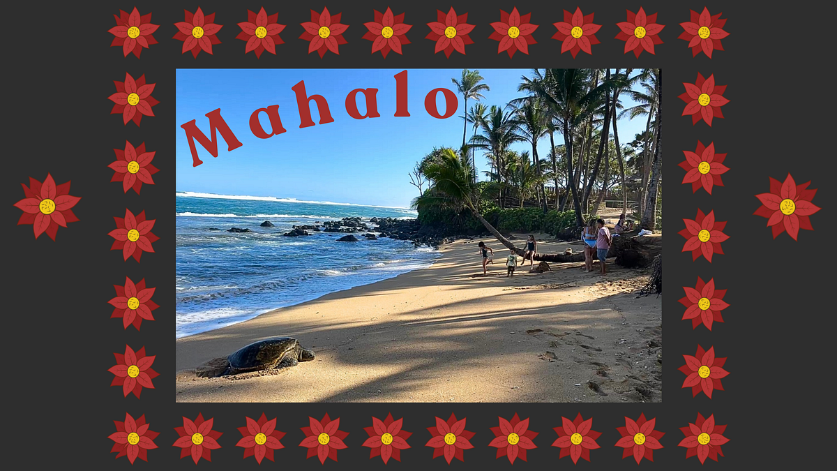 Goodbye Maui: 10 Days of Trade Winds & Sea Turtles | The Pub