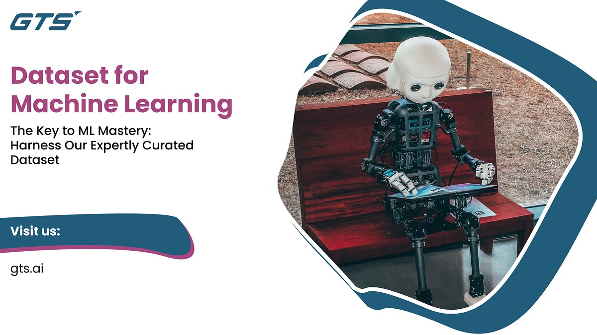 Dataset Dynamics: Adapting and Choosing Datasets for Your Machine Learning Goals | by Globose ...