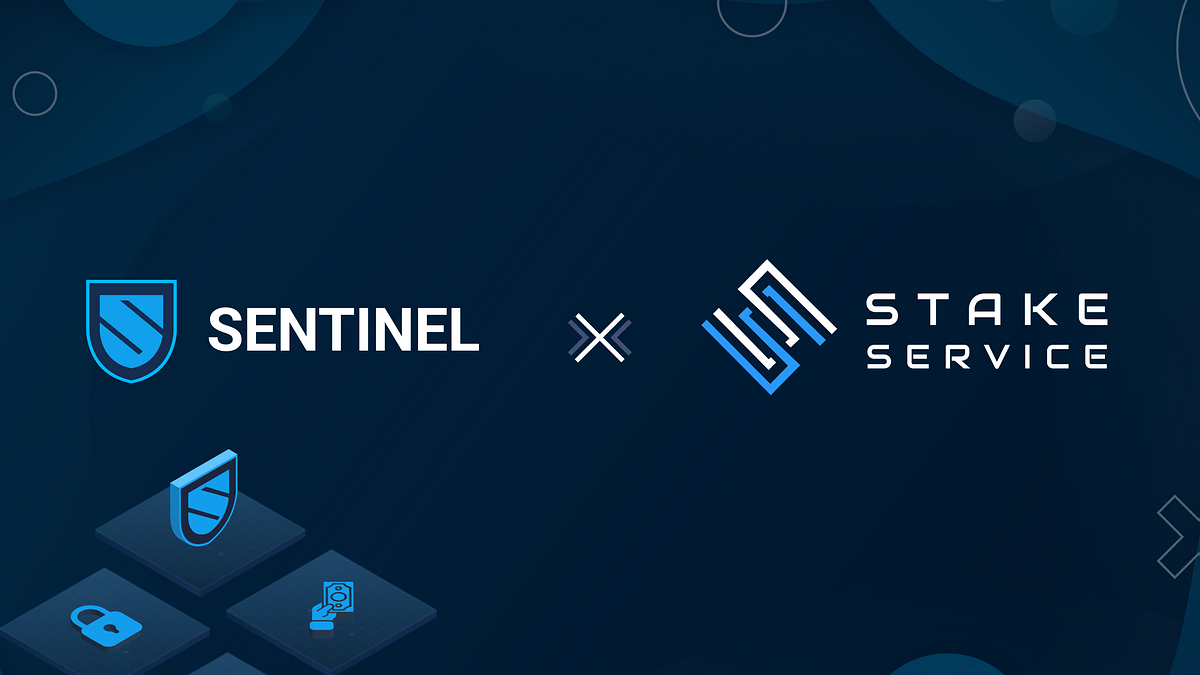 Sentinel Network. What is Sentinel and dVPN | by Elina Cheese | Stake ...
