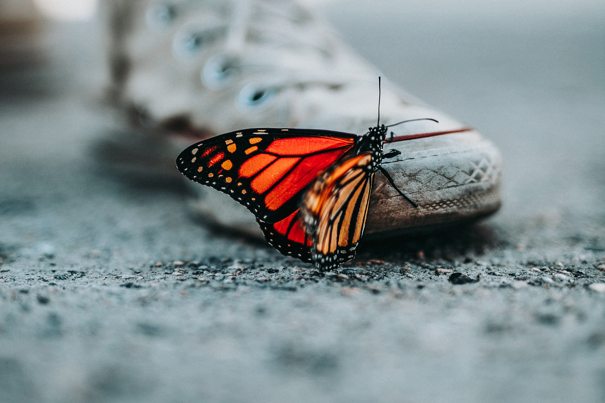 Your Only Job Is to Let Yourself Be Good Enough | by Niklas Göke ...