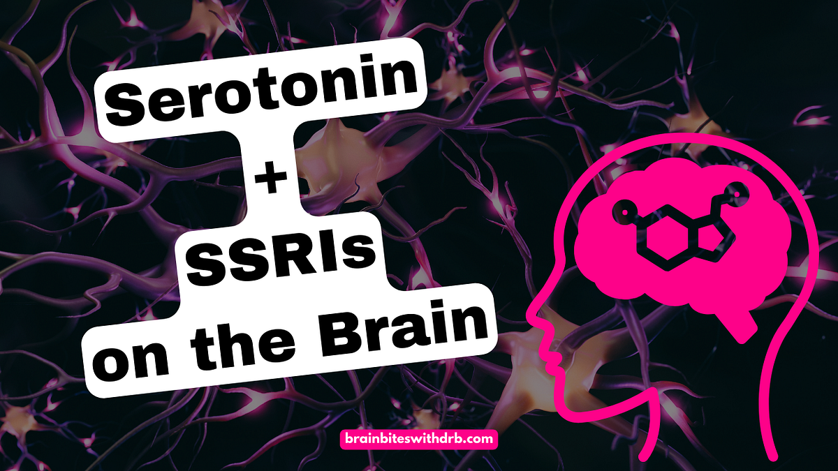 Understanding Serotonin and SSRIs: A Deeper Dive into the Neurochemistry | by Jessica ...