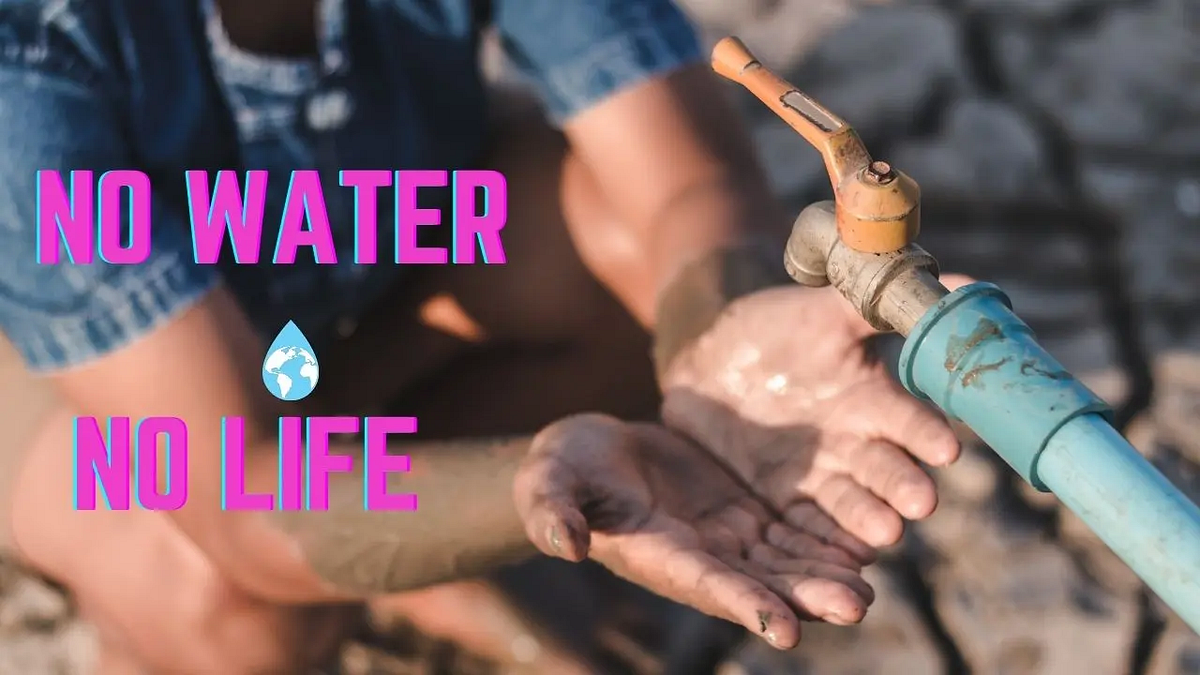 Save Water : Can you do it?. If the existence of this entire… | by The Hook | Medium