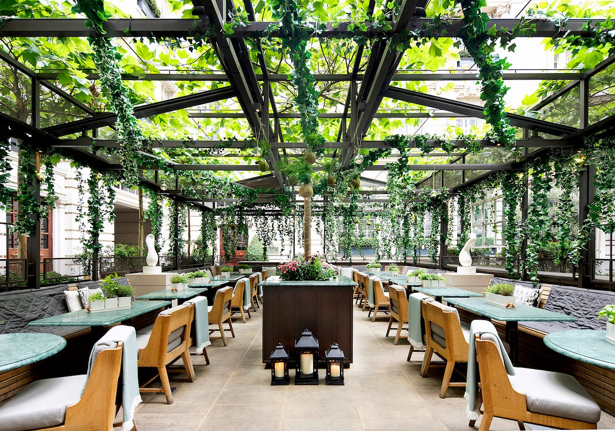 How Can Restaurants ‘Go Green’?. With the developing worry for the ...